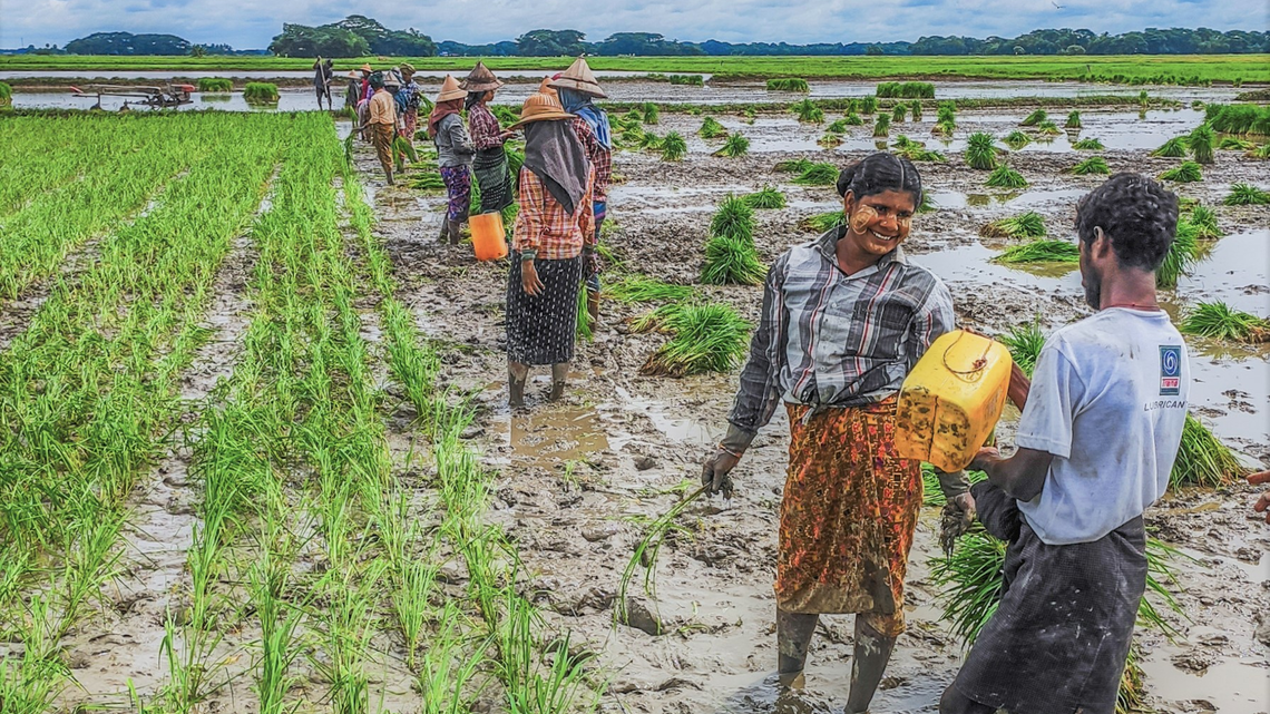 Climate Smart Rice and Water Productivity | Myanmar
